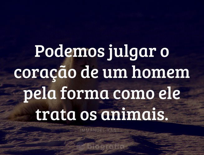 palavras de filósofos